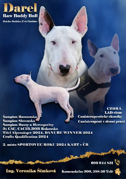 Představujeme ženicha: Darel Raw Buddy Bull :: Rostein Bull